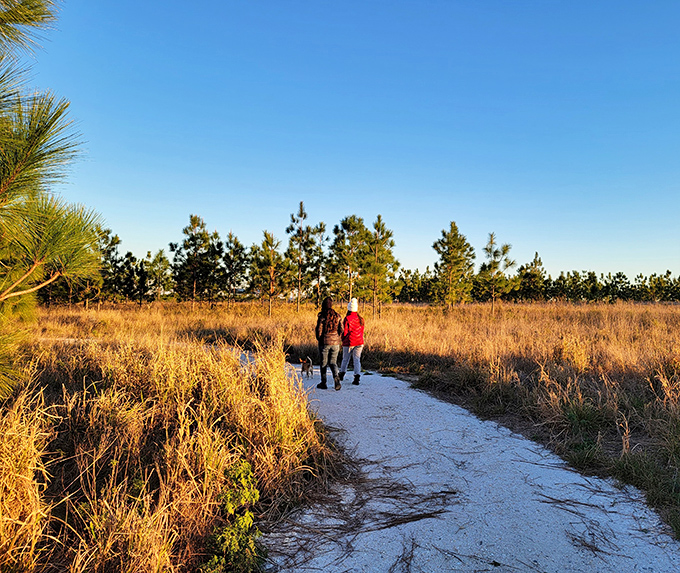 Even four-legged friends find serenity on Bok Tower's nature trails, where golden hour transforms ordinary paths into magic.