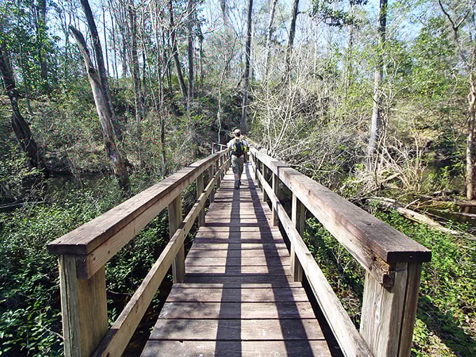 Walking this wooden boardwalk feels like floating above the forest floor&mdash;just watch out for that loose board that goes "thunk" when you step on it!