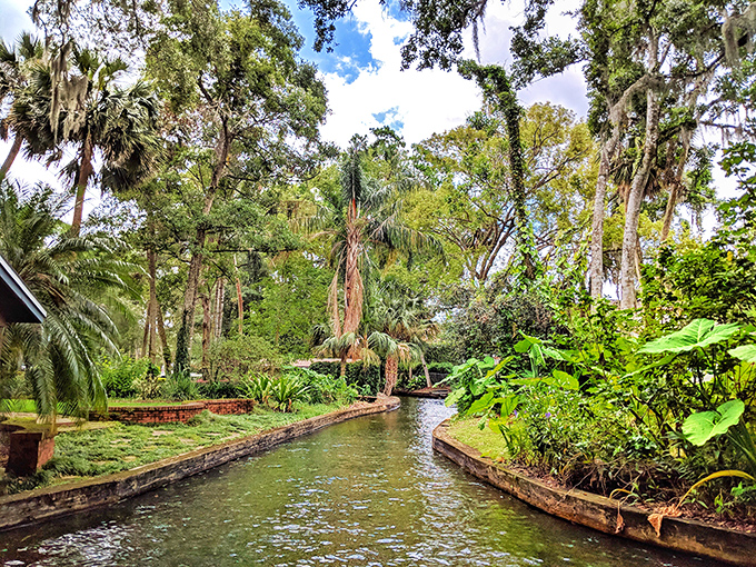 The Winter Park Canal winds through lush greenery, offering glimpses of Florida's unique waterway system.