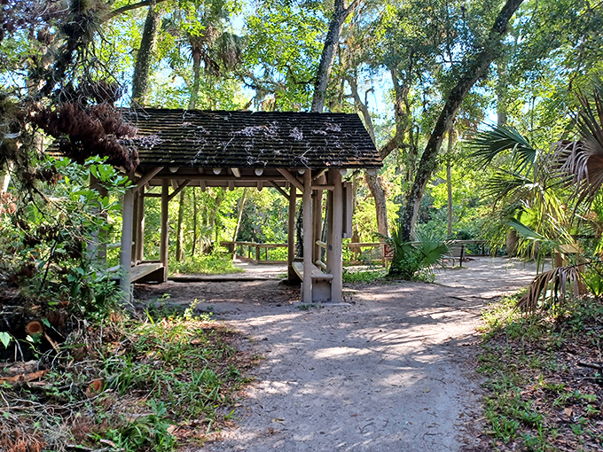 This rustic wooden pavilion offers a shady respite from Florida's enthusiastic sunshine &ndash; nature's version of a five-star lobby.