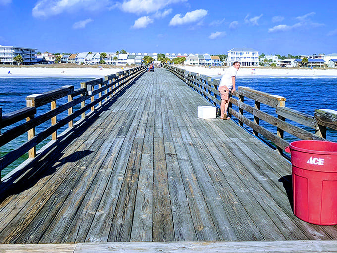 Sunlight dapples through sea grape leaves onto this boardwalk path, creating nature's own stained-glass effect on your journey.