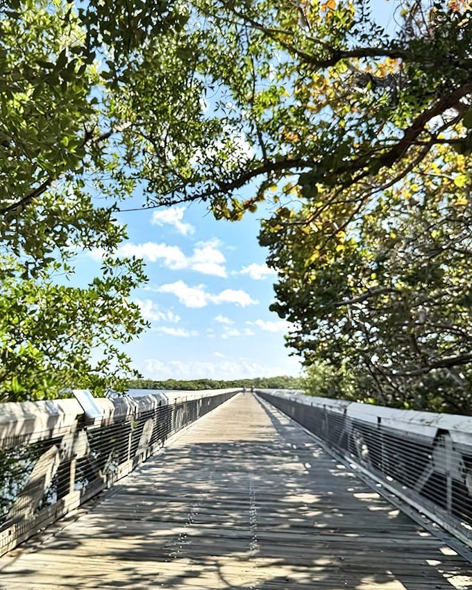 Bridge to the beach: The wooden pathway creates a perfect transition between worlds &ndash; from dense mangrove forest to open shoreline vistas.