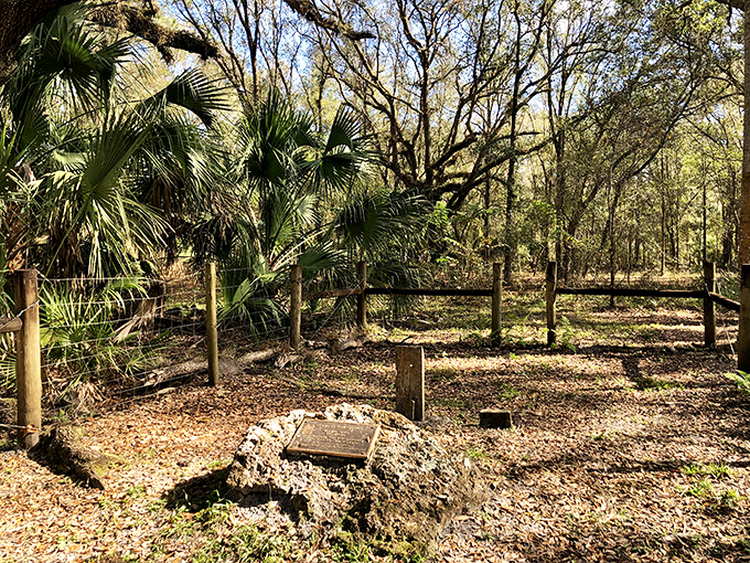 Final resting place of pioneers who carved life from wilderness, now returned to the earth they once tamed.