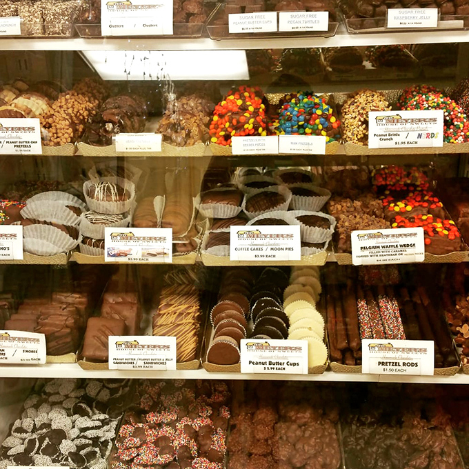 The chocolate display case&mdash;where willpower goes to die and happiness begins. Each piece tells a different sweet story.