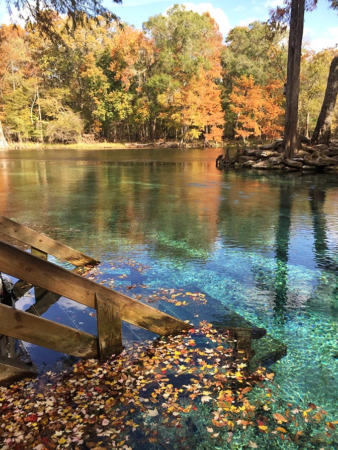 Fall foliage meets crystalline waters, creating a kaleidoscope of color that even Bob Ross would envy.