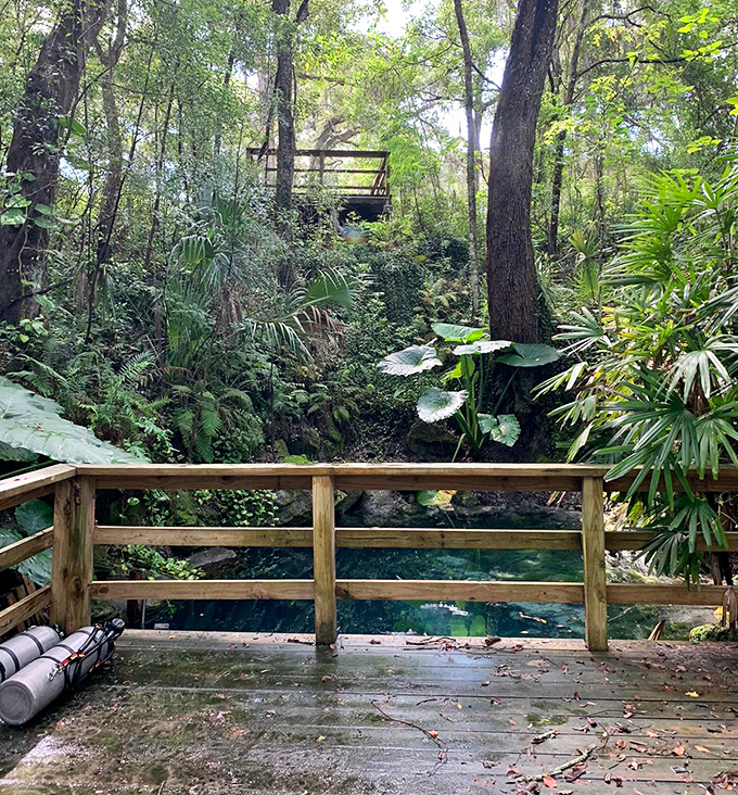 Wooden platforms and staircases guide visitors down to the spring's edge, like a rustic invitation to step into another dimension.