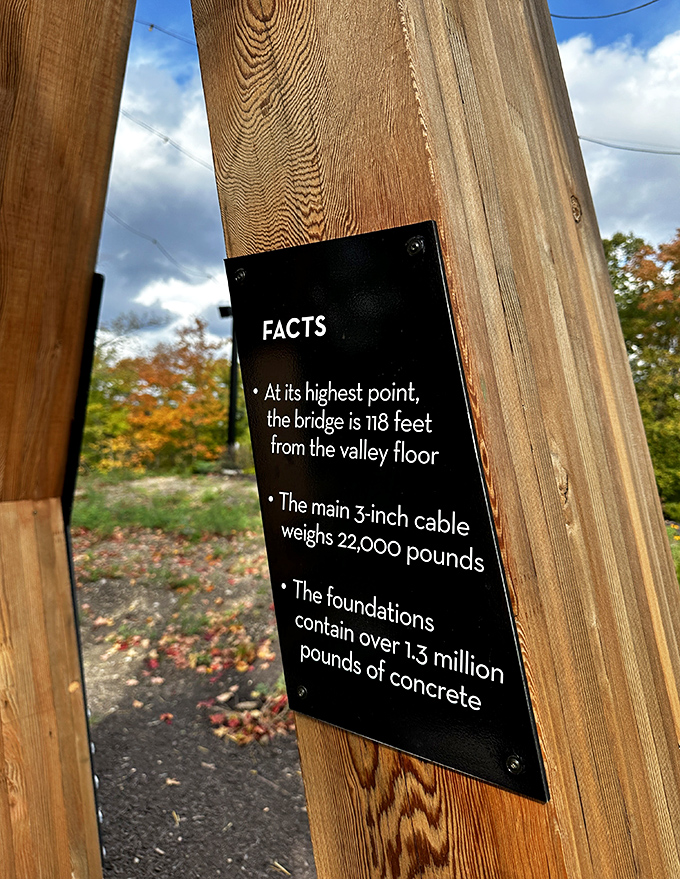 Facts that make your knees wobble: 118 feet high, 22,000-pound cables, and enough concrete to build a small fortress. Engineering never looked so thrilling!
