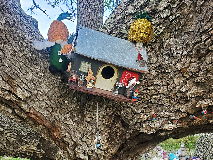 Tiny fairy houses nestled among the branches prove that gnomes have excellent taste in real estate, with natural oak textures complementing their architectural style.