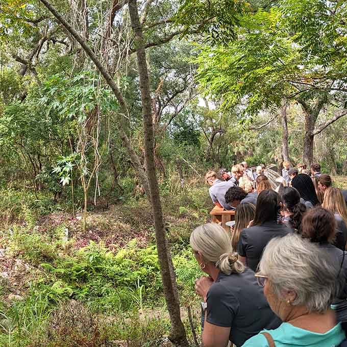 These trails wind through ecosystems like a choose-your-own-adventure book, except every choice leads somewhere beautiful.