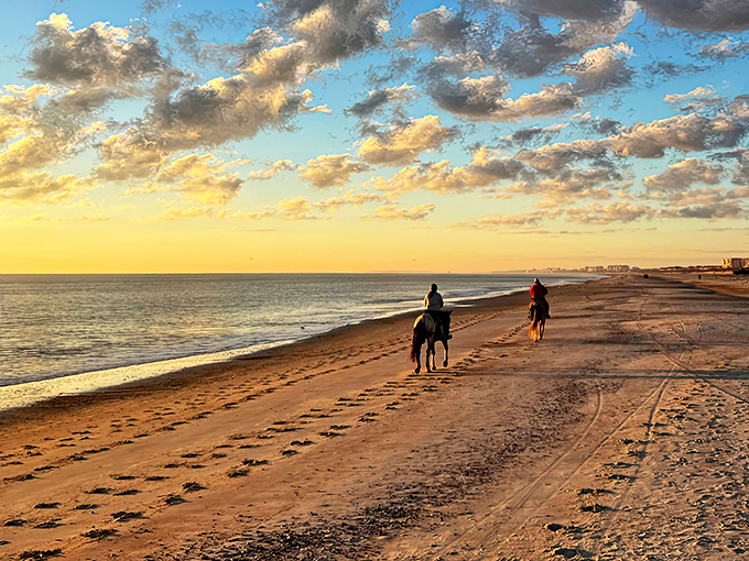 Sunset horseback riding along Amelia Island's shores creates those "pinch me" moments that transform a vacation into a lifelong memory.