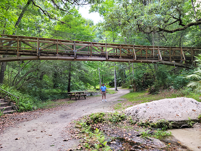 The perfect spot for contemplation: standing beneath this wooden bridge, where sunlight filters through in a natural light show.