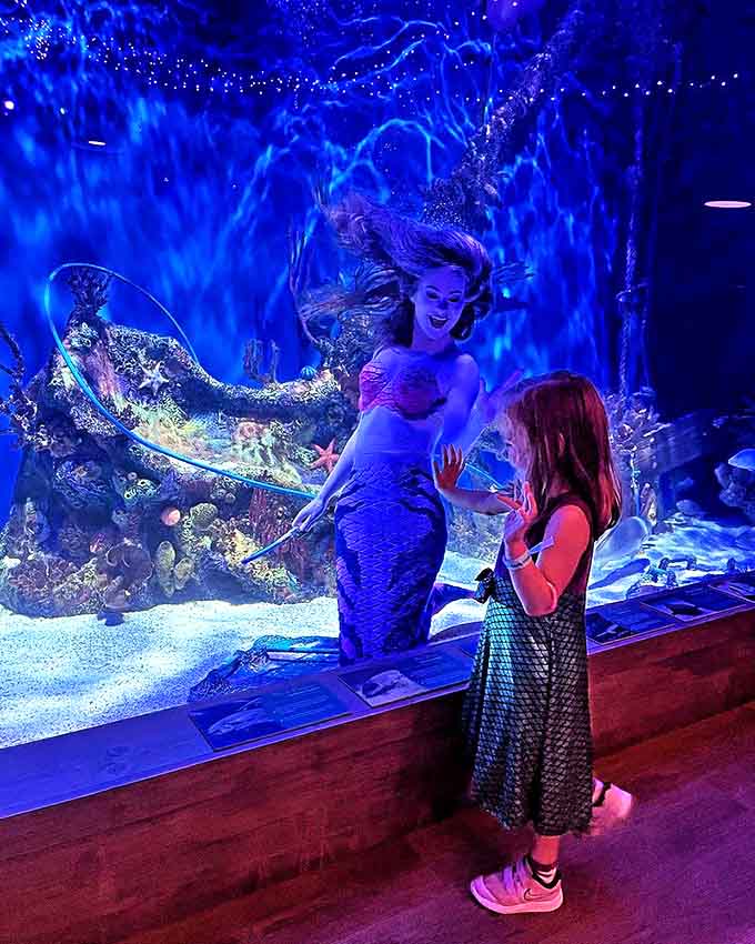Where childhood dreams meet reality &ndash; a young visitor experiences the magic of an up-close mermaid encounter, creating memories that will last a lifetime.