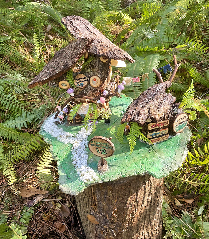 Tiny fairy dwellings perch on tree stumps, crafted with such detail you half-expect to see smoke rising from miniature chimneys.