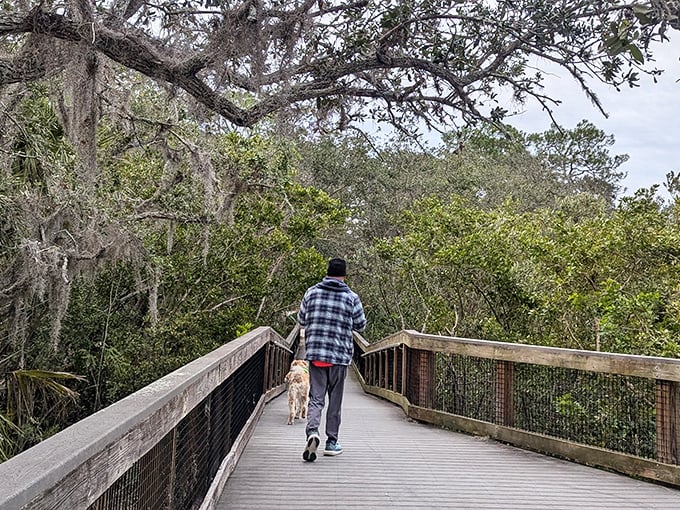 Walking with your furry friend through nature's hallway &ndash; dogs appreciate good views too, just in smell-o-vision.