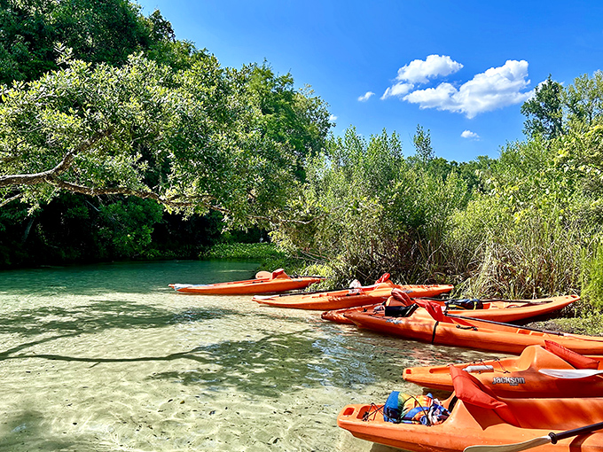 The Florida equivalent of a rental car lot&mdash;except these vehicles run on arm power and come with million-dollar views included in the price.