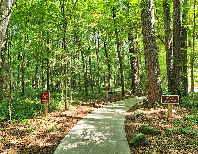 Follow the path less traveled: This well-maintained trail invites exploration while friendly signs remind visitors to tread lightly in this delicate ecosystem.