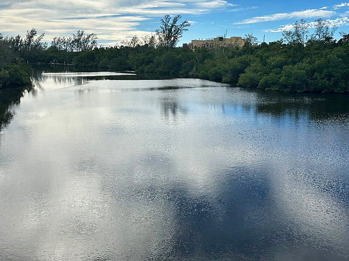 Mirror-like waters of the Gordon River capture perfect reflections of clouds and trees, nature's own Instagram filter.