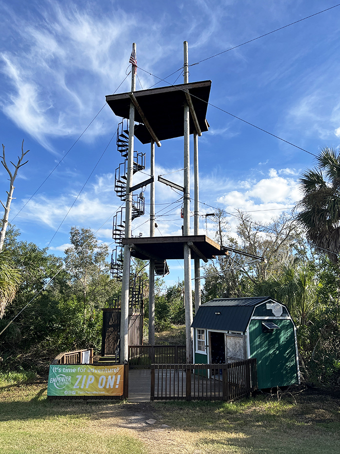 This tower isn't just a structure&mdash;it's your gateway to experiencing Tampa Bay as nature's winged residents do daily.