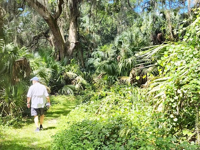 A solitary figure explores the verdant pathway, where palmettos and live oaks create nature's version of a luxury spa retreat.