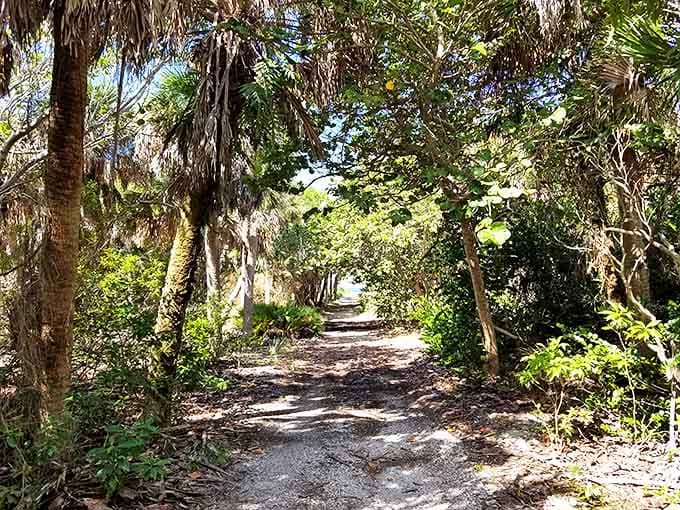 Jungle meets beach: The island's interior trails offer shaded adventures through maritime hammocks and native Florida vegetation.