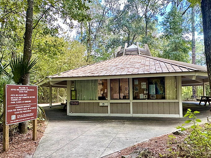 The visitor center: where park rangers translate "complex geological processes" into "stuff even your five-year-old will find fascinating."