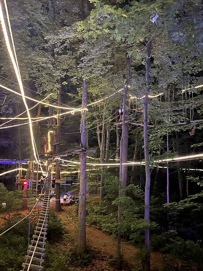 As darkness falls, the park transforms into an enchanted forest, with twinkling lights guiding brave night adventurers through the canopy.