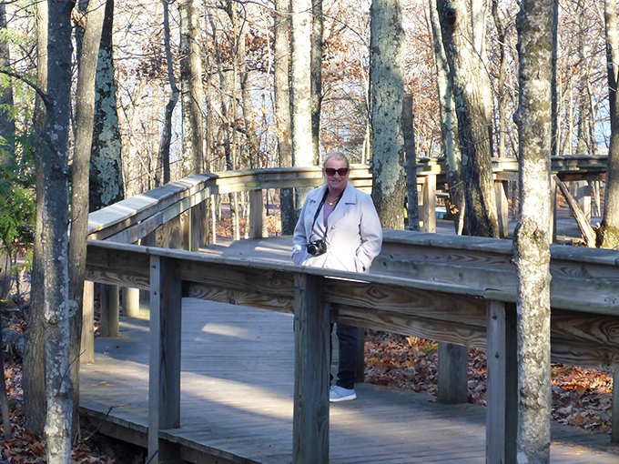 This wooden boardwalk isn't just a path &ndash; it's a portal between everyday life and wilderness that whispers, "Adventure this way!"