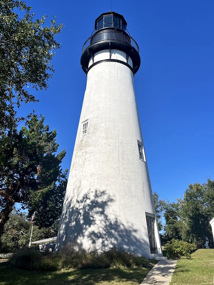Amelia Island's white lighthouse tower creates a perfect contrast against blue skies, standing tall among the trees of Florida's northeastern coast.