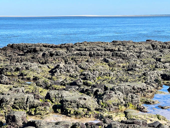 5a. big talbot island (jacksonville)