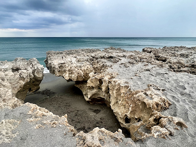Limestone formations at Blowing Rocks create natural bridges and arches, sculpted by millions of years of persistent waves.