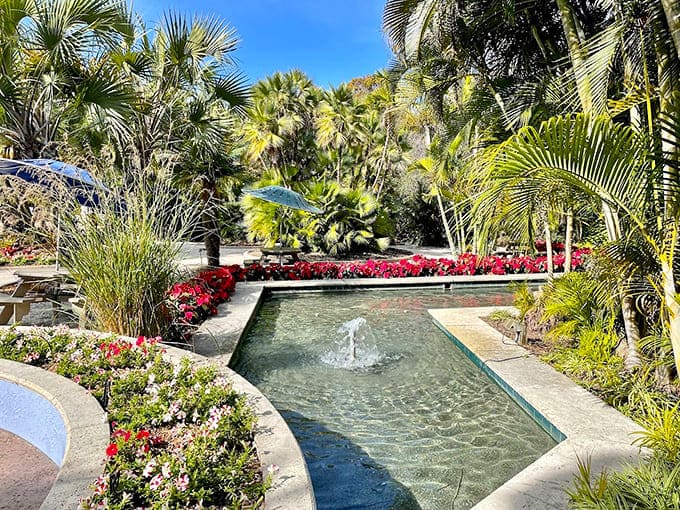 A serene reflecting pool mirrors the sky, framed by vibrant red blooms and swaying palms in perfect harmony.