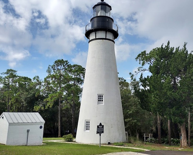 The elegant white tower of Amelia Island Lighthouse rises above the treeline, its classic design a reminder of Florida's rich maritime heritage.