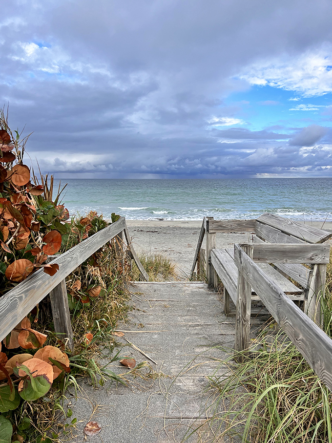 The rugged shoreline at Blowing Rocks Preserve looks more like an alien landscape than a Florida beach.