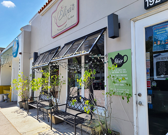 Flowering plants frame the entrance, creating a colorful welcome that hints at the botanical wonders waiting inside.