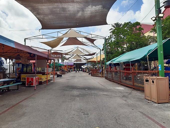 Shade-seekers' delight! Colorful canopies create a festival atmosphere along this market walkway, where every stall promises new treasures under a patchwork of fabric umbrellas.