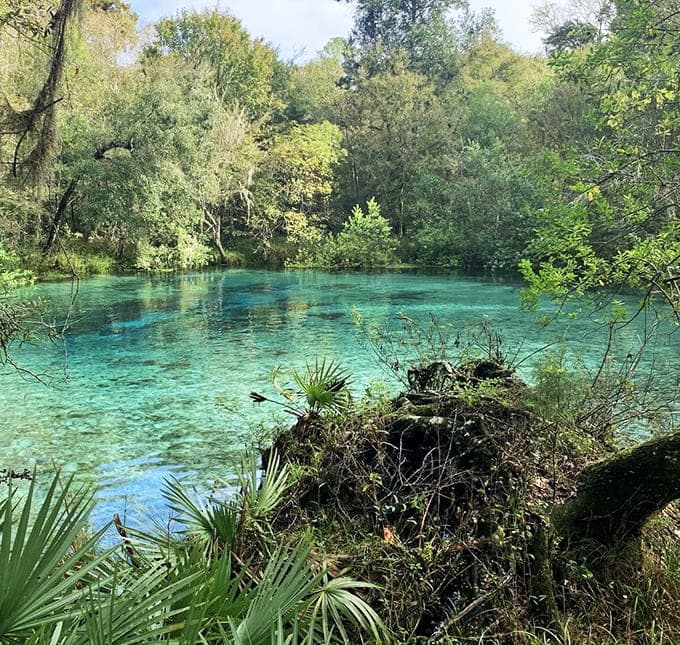 Sunlight and spring water team up to create nature's own light show.
