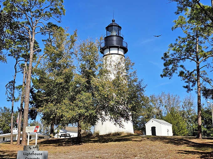 Amelia Island Lighthouse has guided sailors safely to shore since 1838, its whitewashed tower a beacon of maritime history.