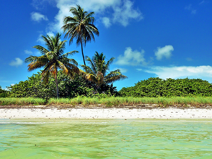 Crystal clarity: The shallow bay waters reveal every detail below, like nature's own aquarium without the admission fee or closing hours.