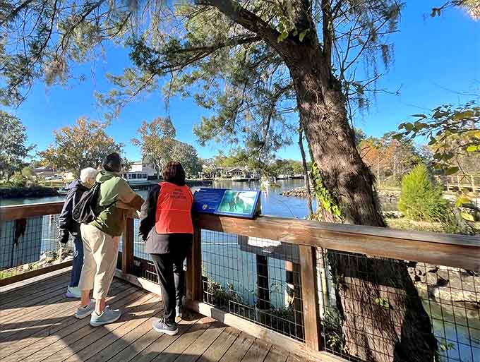 Visitors pause to absorb the view, proving sometimes the best vacation moments happen standing perfectly still.