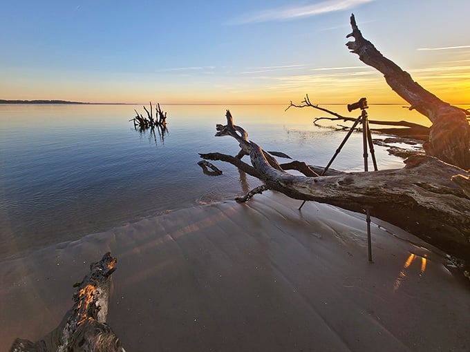 Golden hour transforms Boneyard Beach into something from a dream, where reality takes a coffee break and lets beauty run the show for a while.