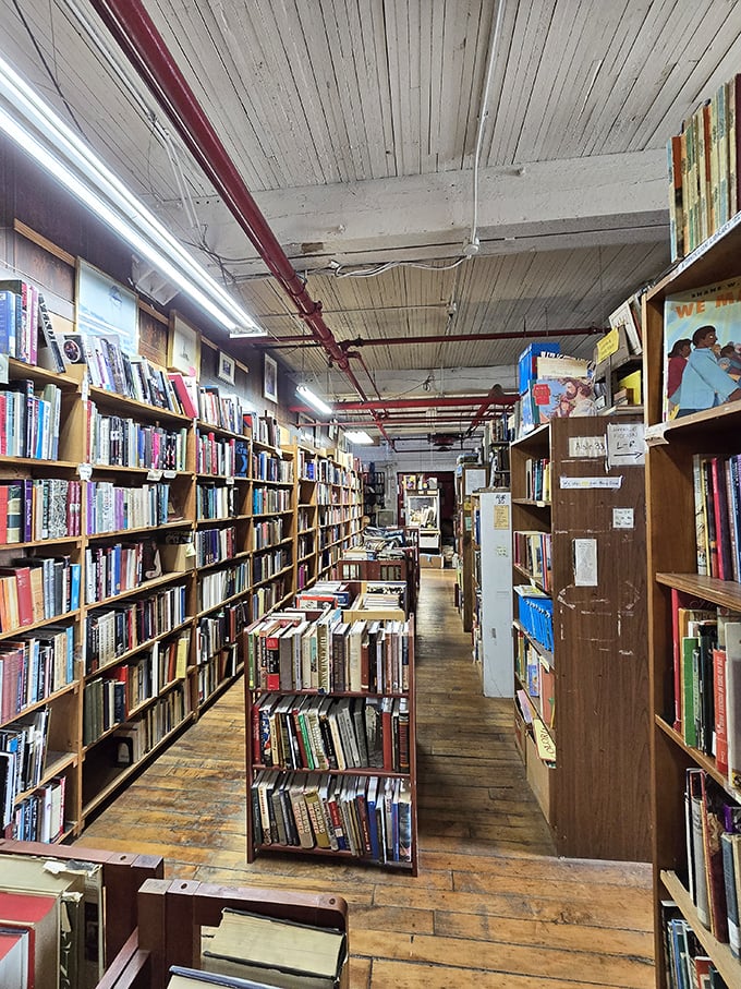 Sunlight streams through industrial windows, illuminating dust particles dancing above shelves where countless stories patiently wait for their next reader.