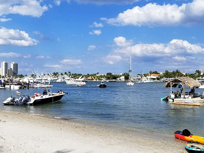 Boater's paradise in full swing &ndash; weekends transform the harbor into a floating neighborhood party where everyone's invited.