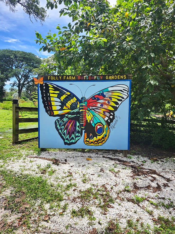 The vibrant butterfly garden sign announces your arrival to pollinator paradise, where winged wonders dance among native Florida blooms.