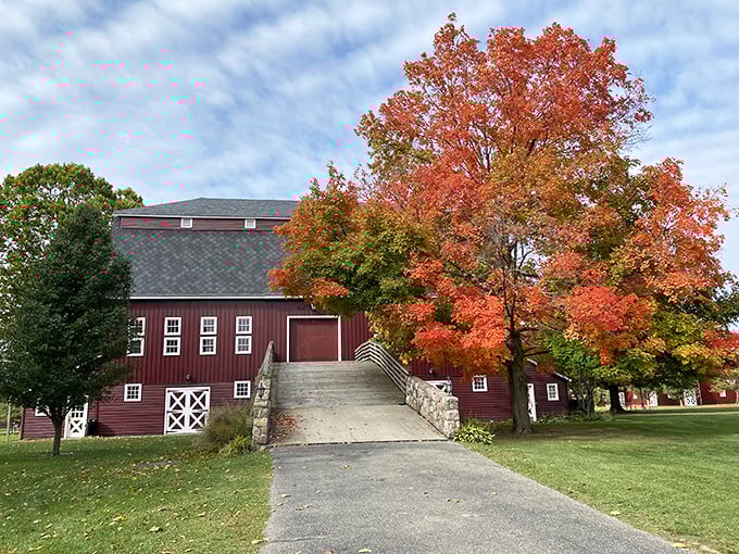Fall foliage frames this classic red barn, where automotive treasures await inside&mdash;Michigan autumn doesn't get more picturesque than this.