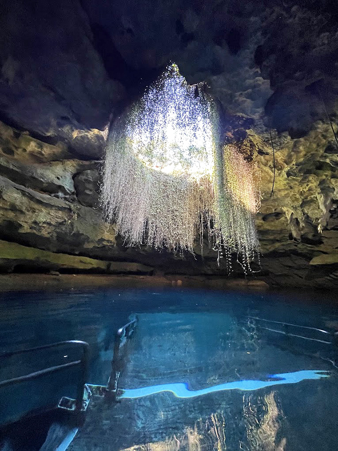 Cavern Ceiling Skylight View: Sunlight streams through hanging vines, creating a natural chandelier that puts Tiffany's finest work to shame.