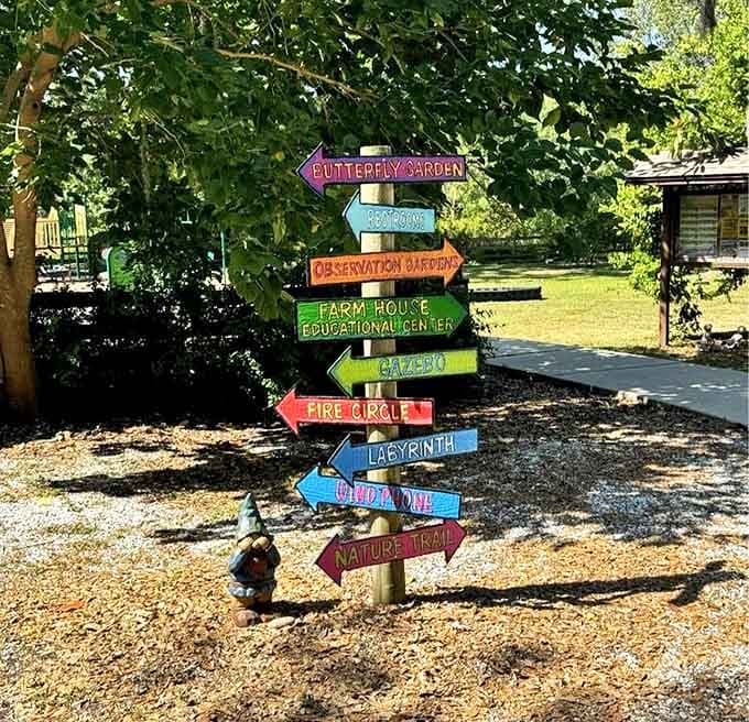 Whimsical directional signs point the way to adventure, each arrow promising a new discovery down paths less traveled.