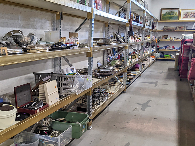 Kitchen appliances from every era stand at attention &ndash; from vintage juicers to modern coffee makers, proving good design never truly goes out of style.