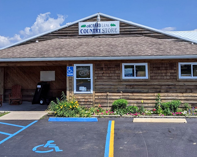 Sunlight catches the Orchard Lane sign as flowers dance in the breeze, creating that perfect "slow down and stop" moment for passing drivers.
