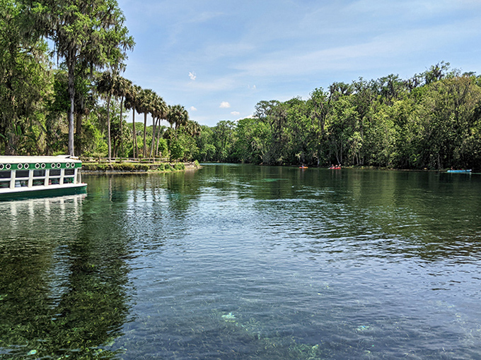 These floating windows to the underwater world have been giving "submarine tours" since before submarines were cool.