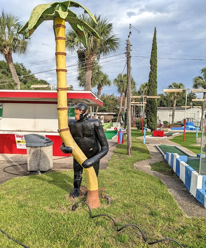 This gorilla has clung to his palm tree through hurricanes and heat waves, watching generations of golfers with his permanent side-eye.